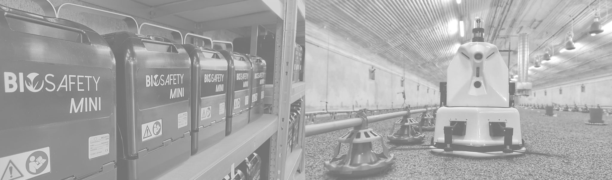 Our story - Octopus Biosafety