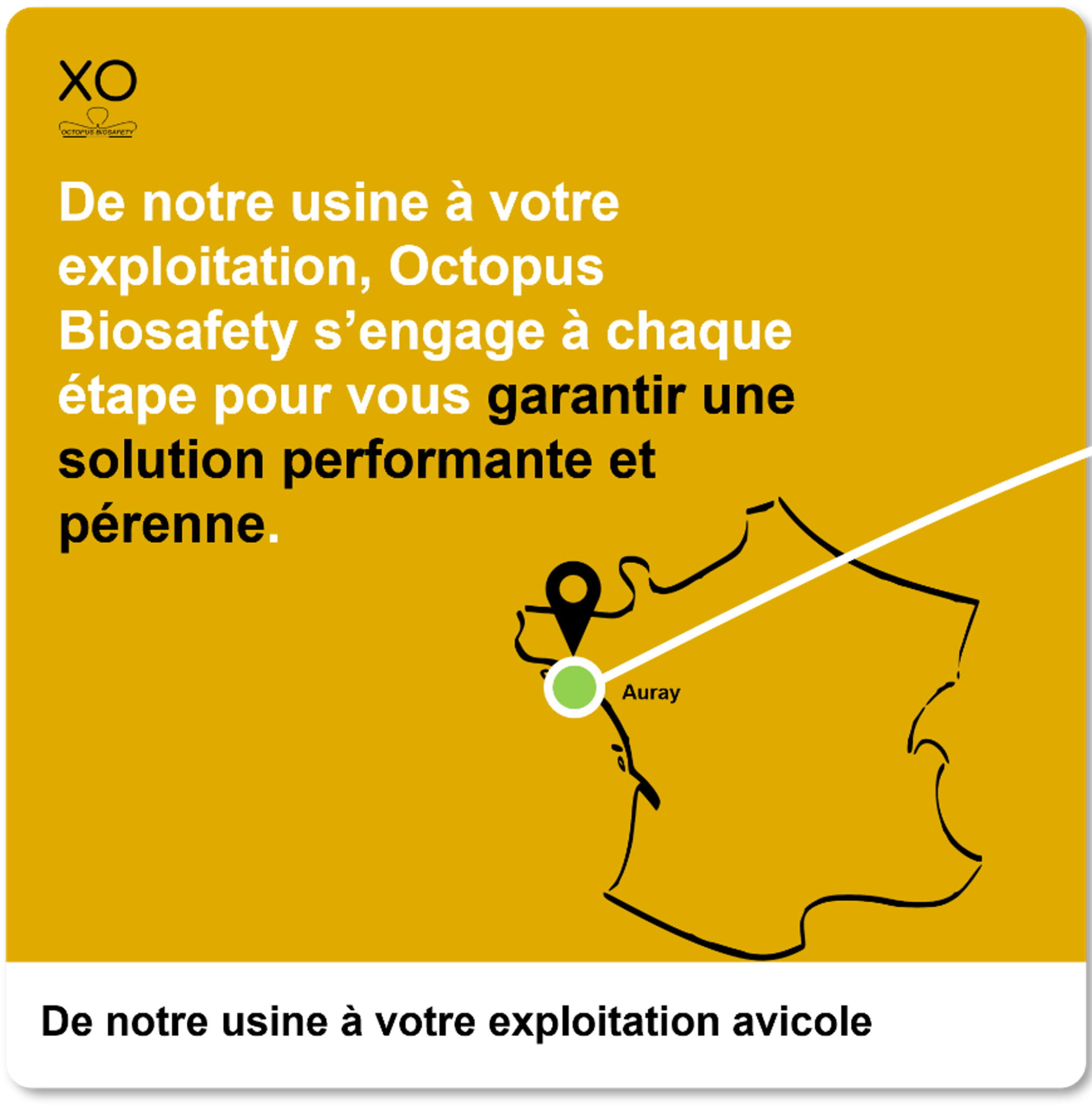 Robot XO en Europe - Octopus Biosafety