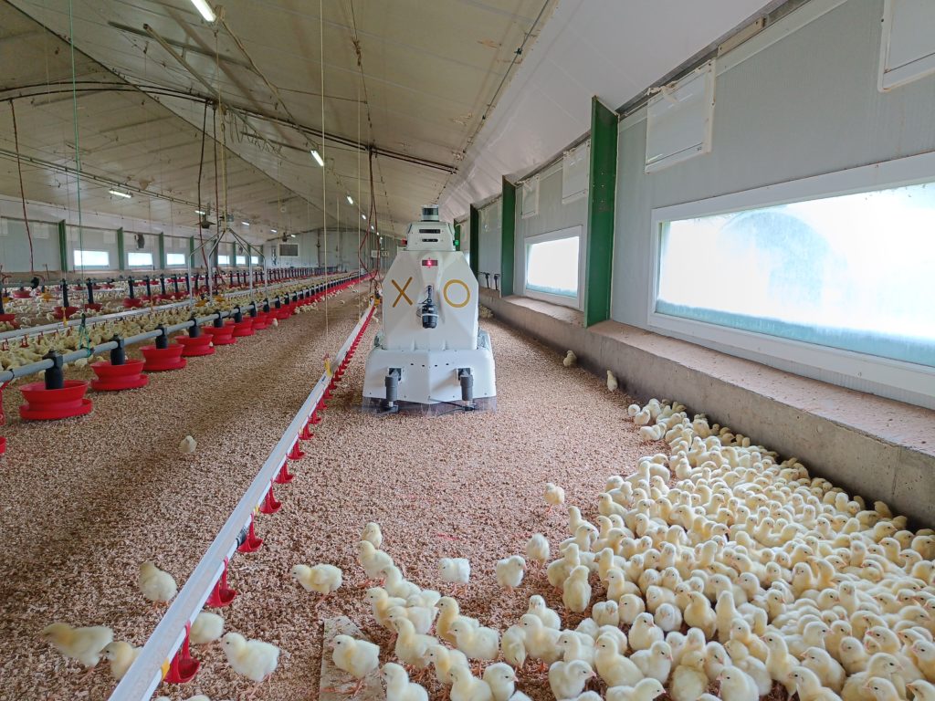 Robot XO pour une aviculture de précision - Octopus