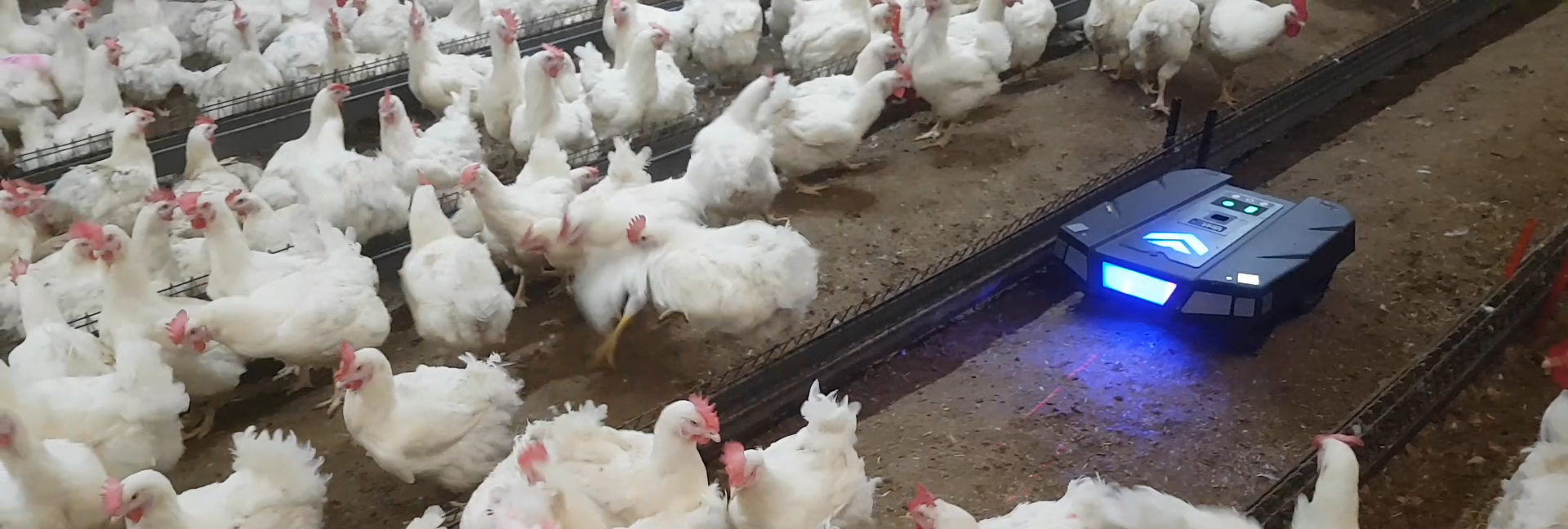 T-Moov the robot that rolls for your breeding - OCTOPUS